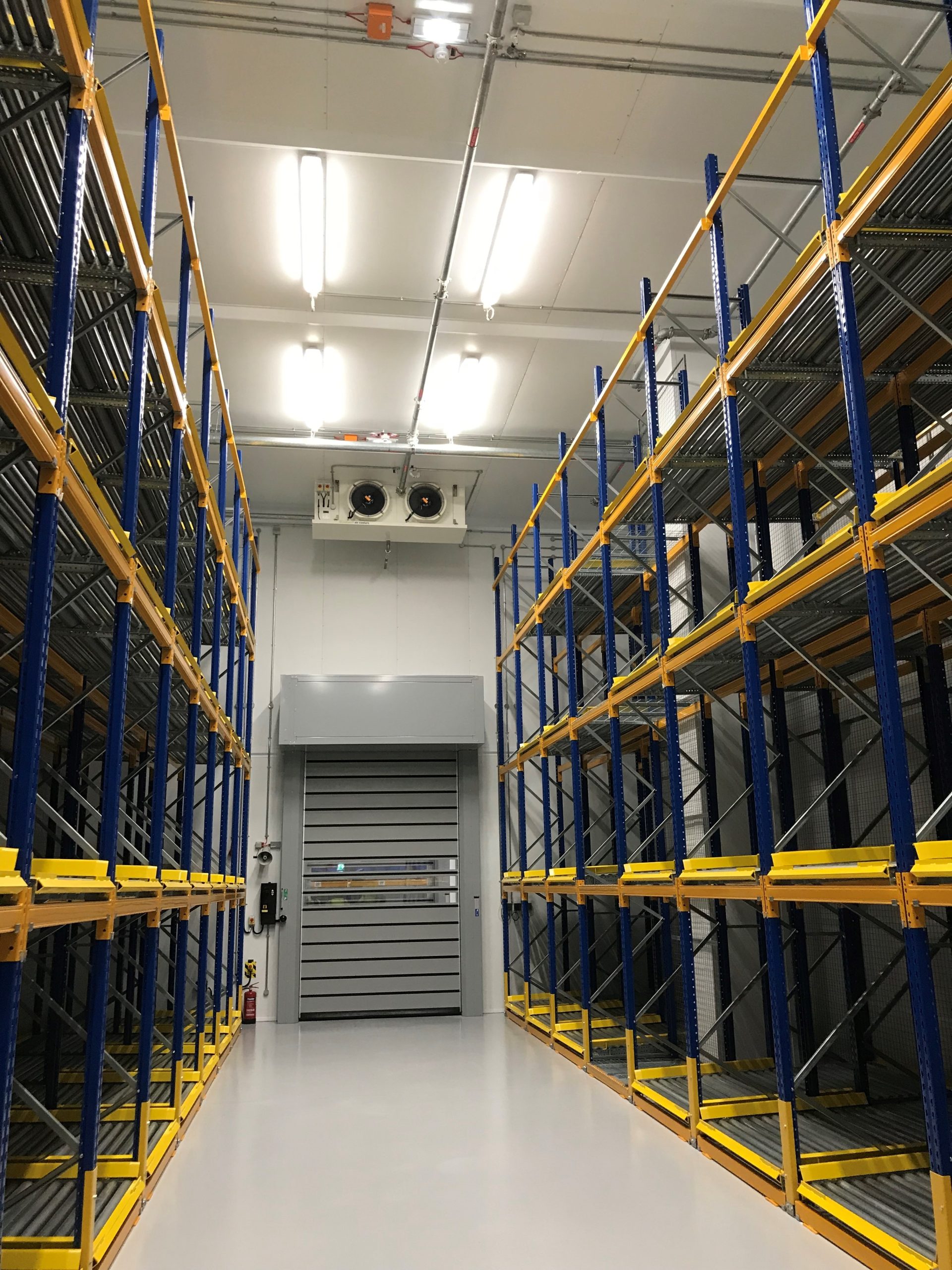 Multi Temp Fire Rated Biotech Storage Solution - Brian A. Flynn ...